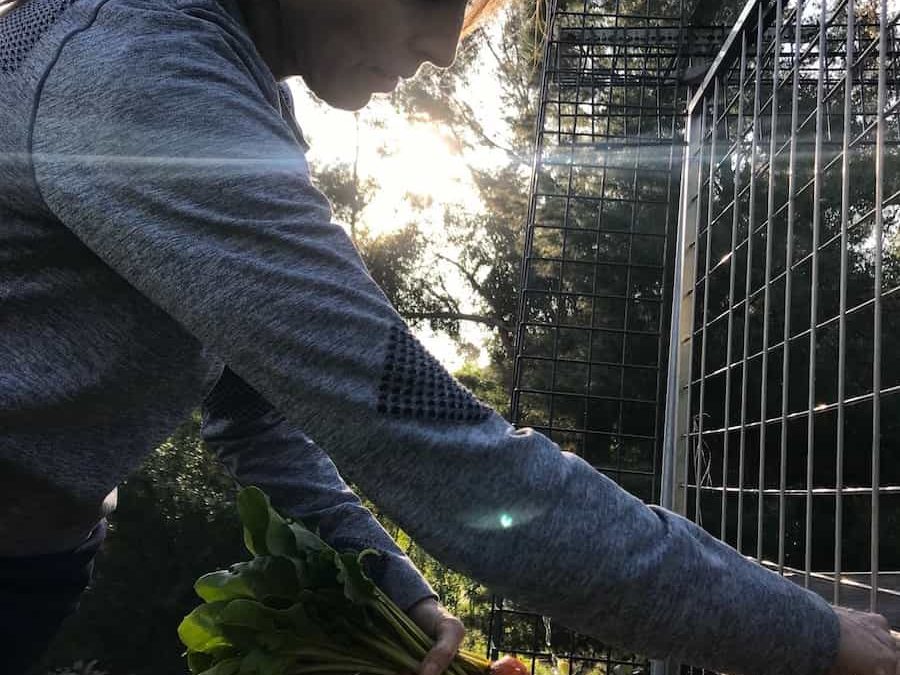 hannah washing beets | Vasari21